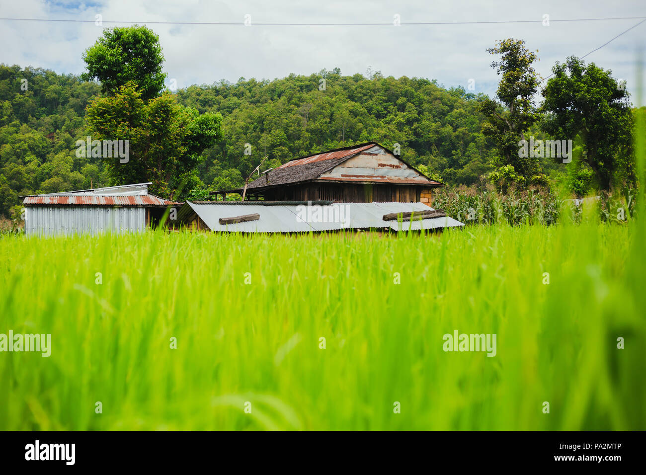 Scenery of beautiful Nepali traditional house with mountains and green ...