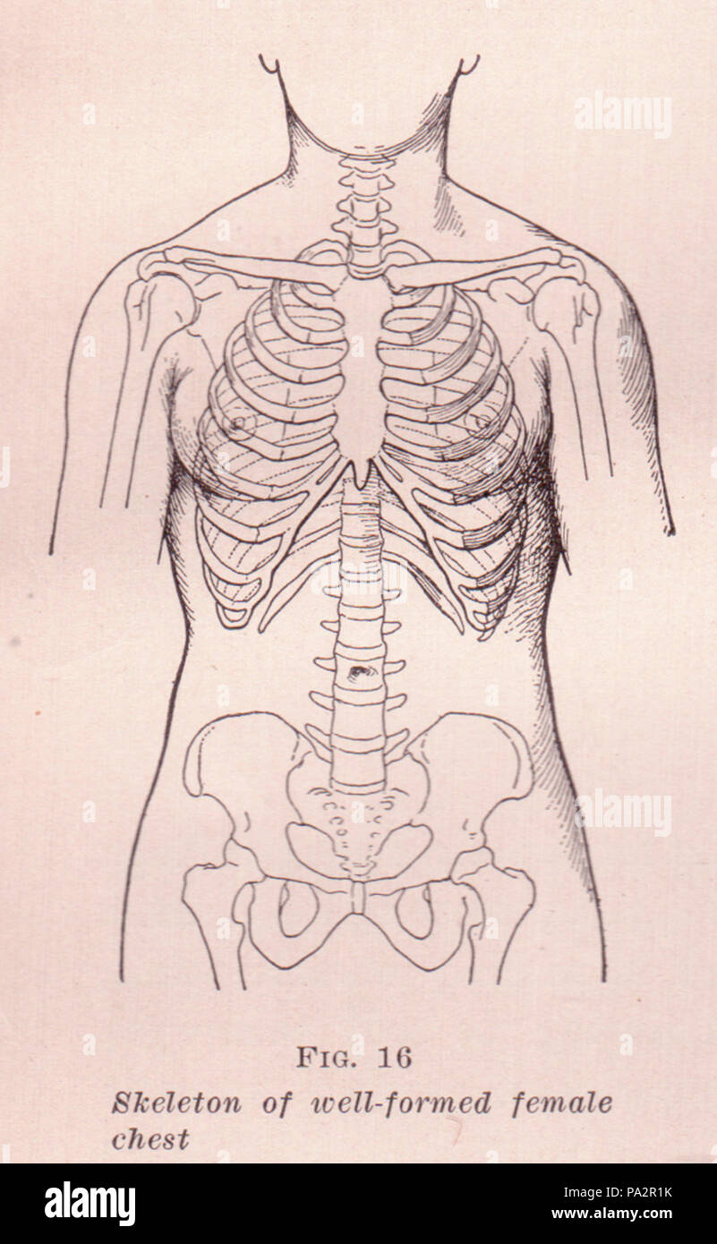 Female skeleton hi-res stock photography and images - Alamy