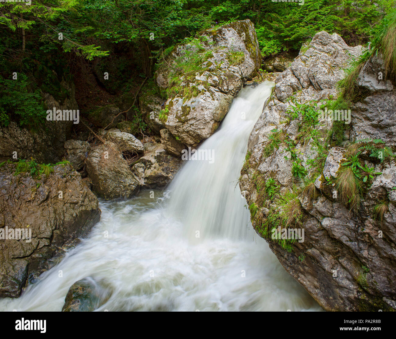 waterfall in nature with rocks and forest landscape Stock Photo - Alamy