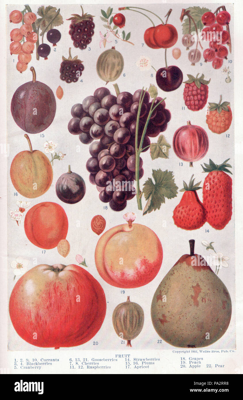 Fruit biology hi-res stock photography and images - Alamy