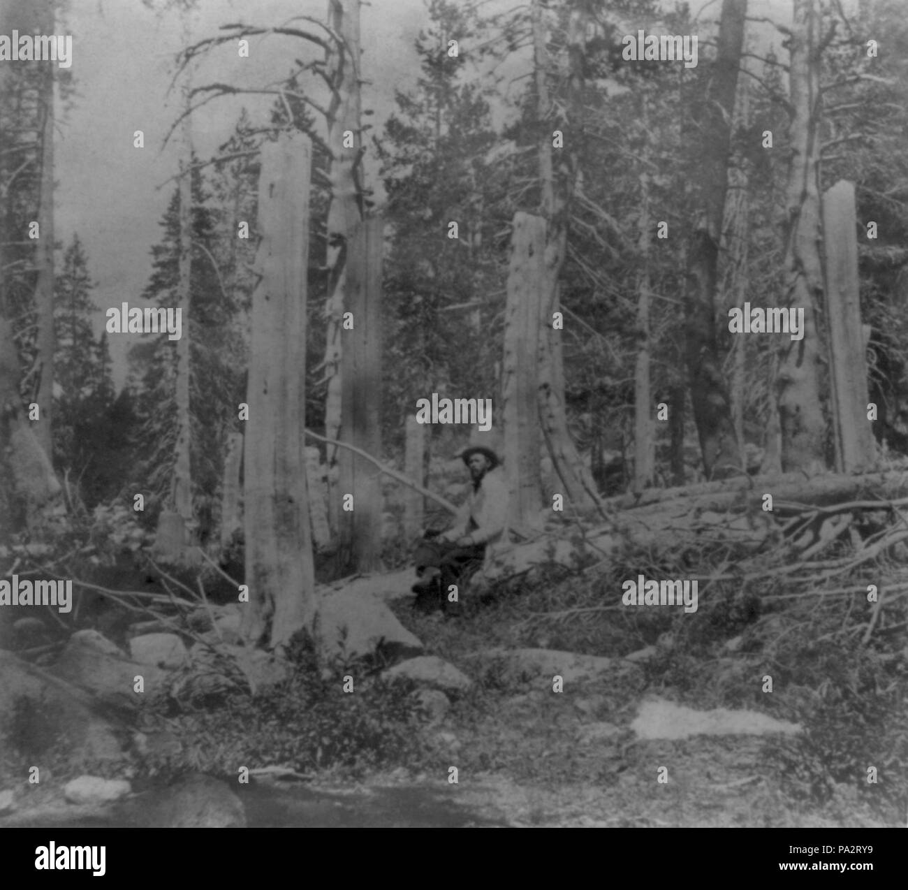 Donner party hi-res stock photography and images - Alamy