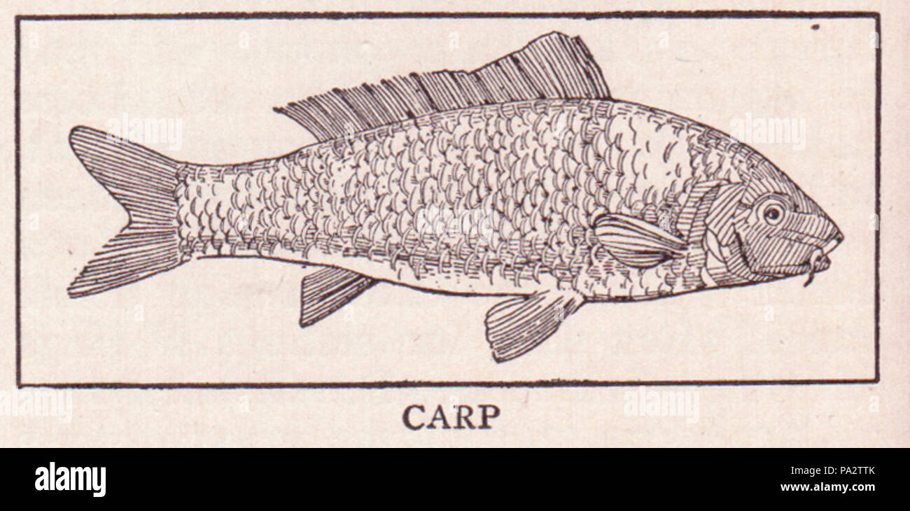 Page 508 hi-res stock photography and images - Alamy