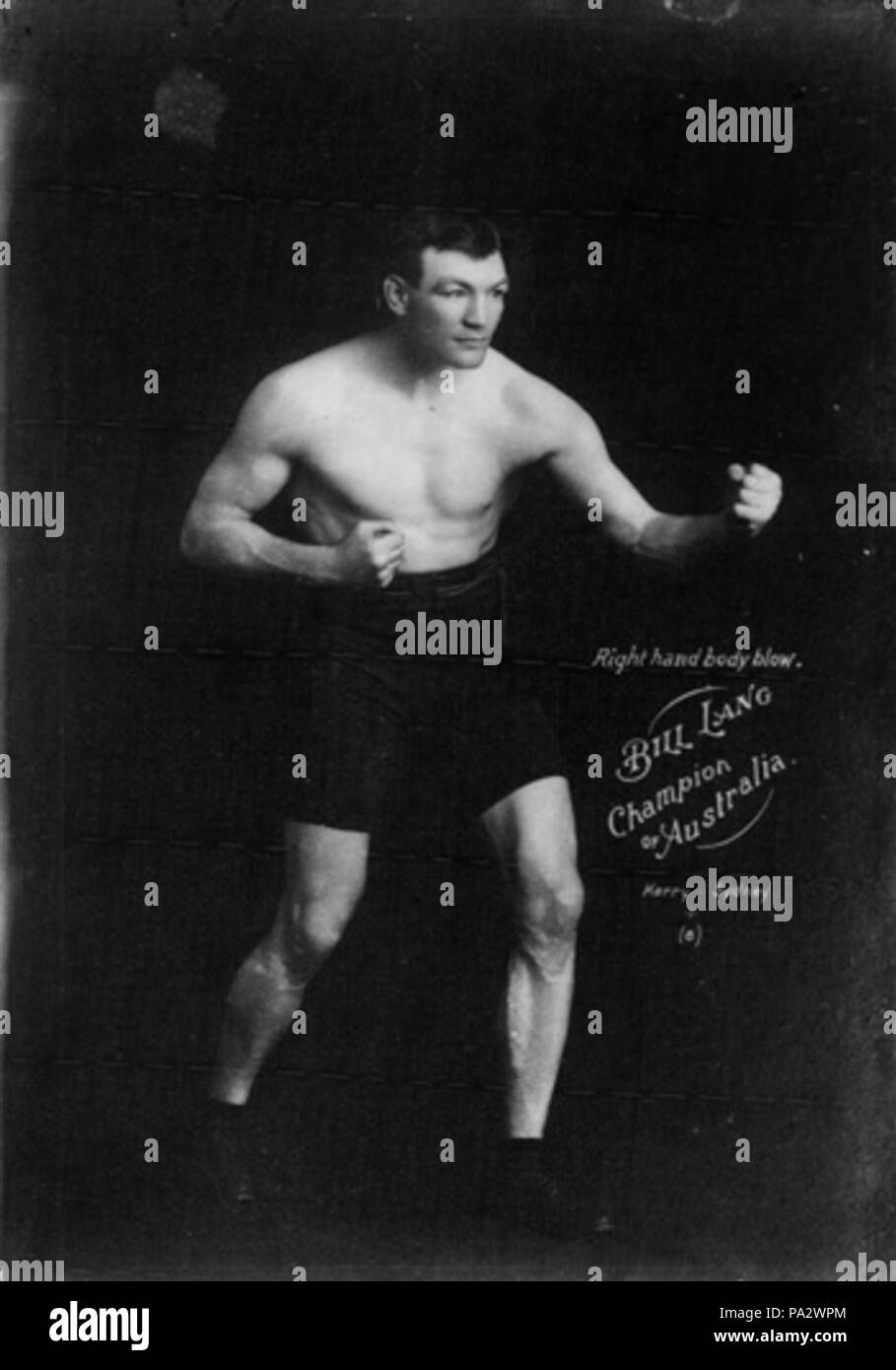 202 Bill Lang Stock Photo - Alamy