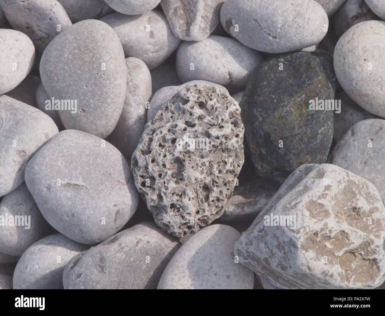Grey pebbles on the beach, close up Stock Photo - Alamy