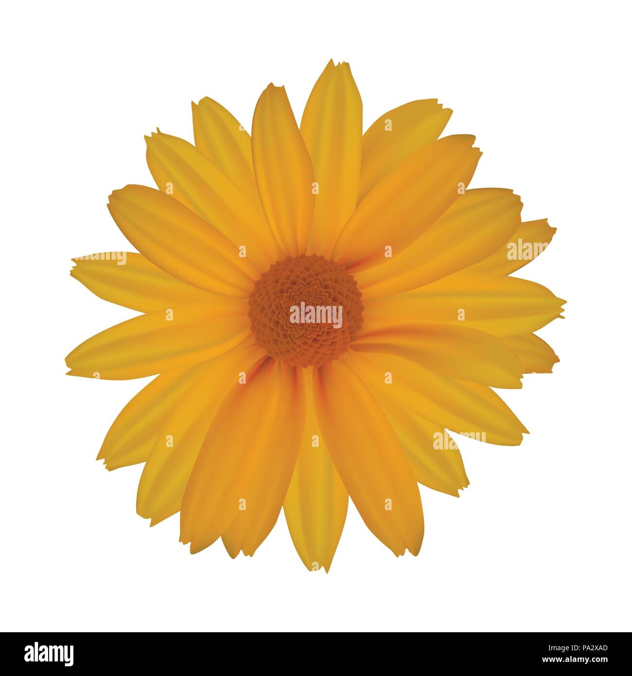 Yellow daisy background Stock Vector Images - Alamy