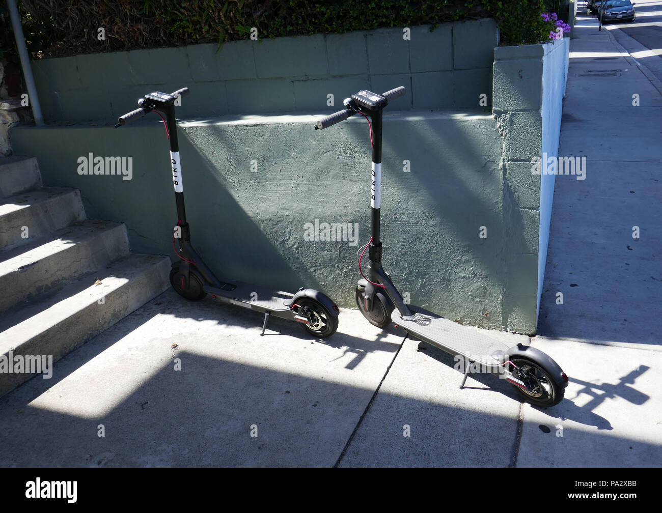 LOS ANGELES, CA - JULY 19: A general view of atmosphere of Bird ...