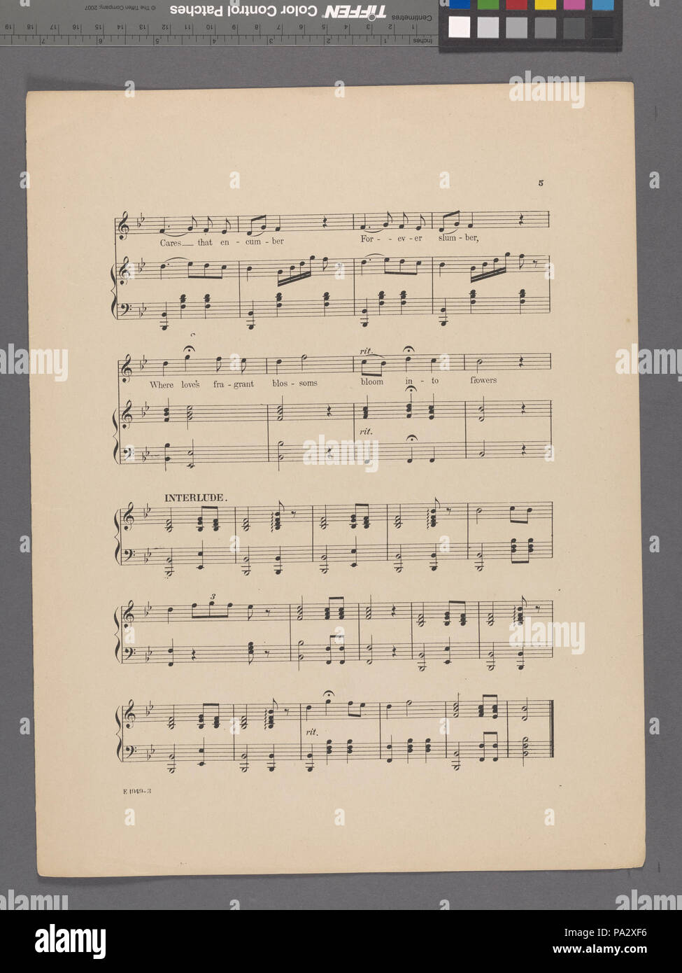 Unfading hi-res stock photography and images - Alamy