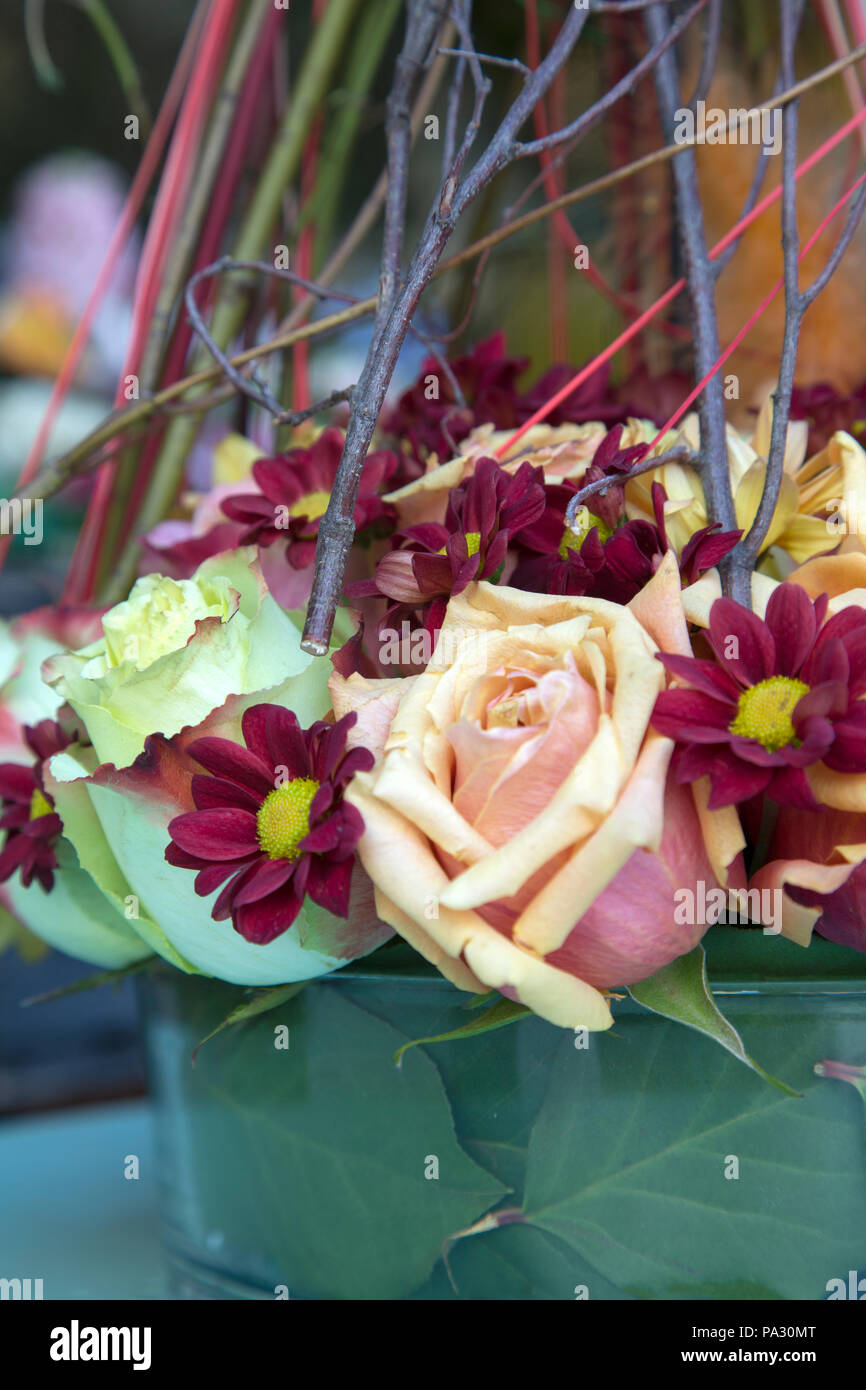 Closeup of Rose Design Background Stock Photo - Alamy