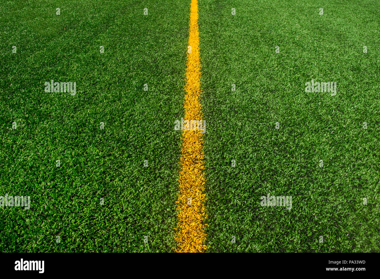 Cricket Ground Grass Texture