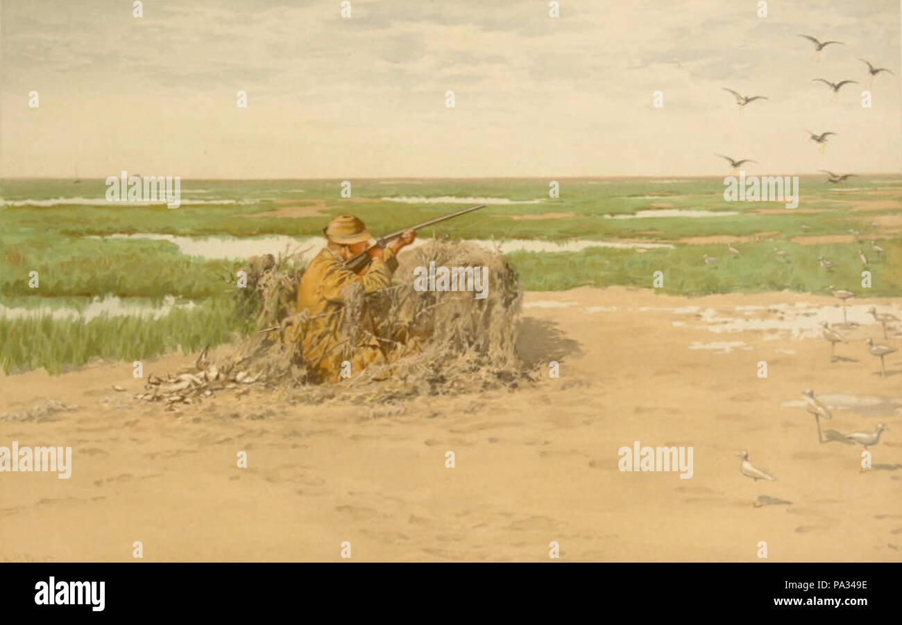 189 Bay Snipe, by A B Frost from Shooting Pictures, by Scribner & Sons ...