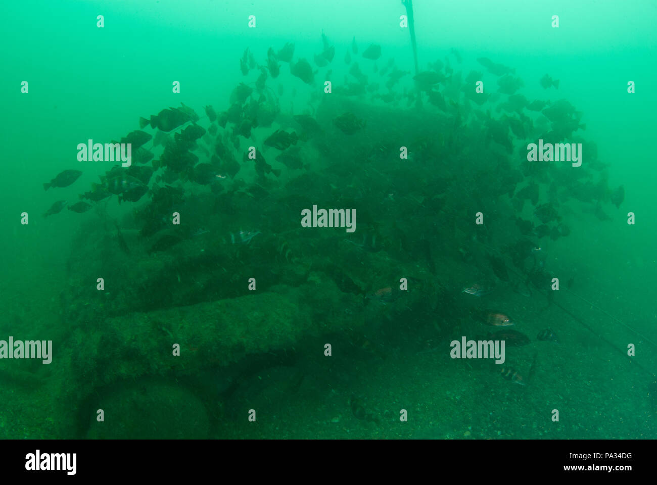 D day landing practise exercise hi-res stock photography and images - Alamy