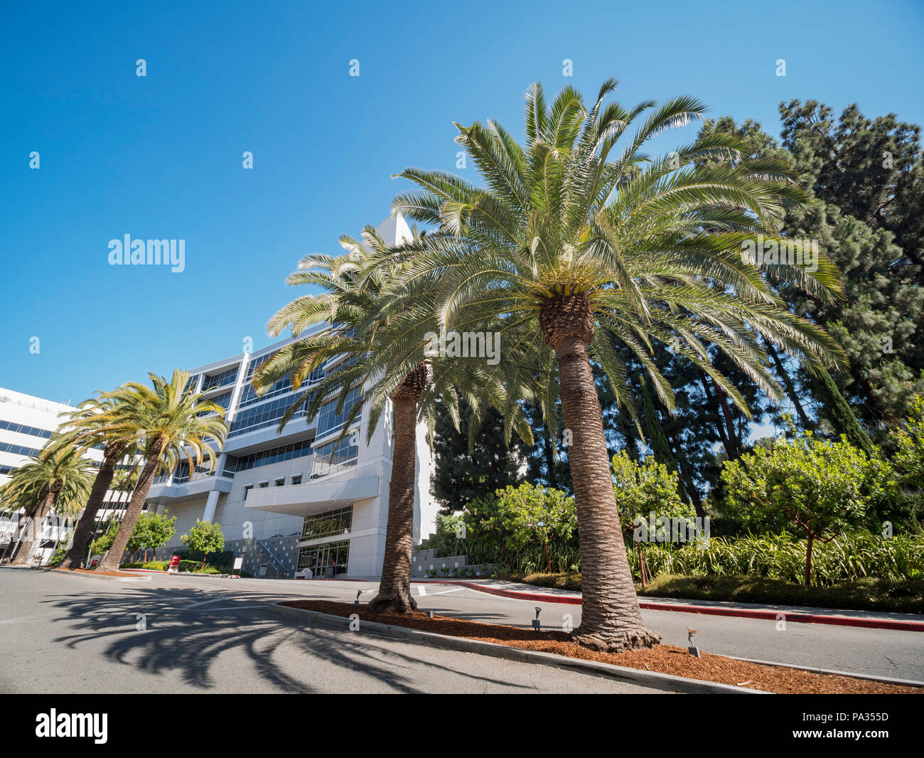 Los Angels, JUN 9: Building of LAC USC Medical Center on JUN 9, 2018 at ...