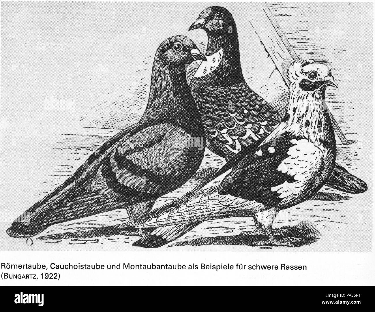 0005 Black and White Stock Photos & Images - Alamy