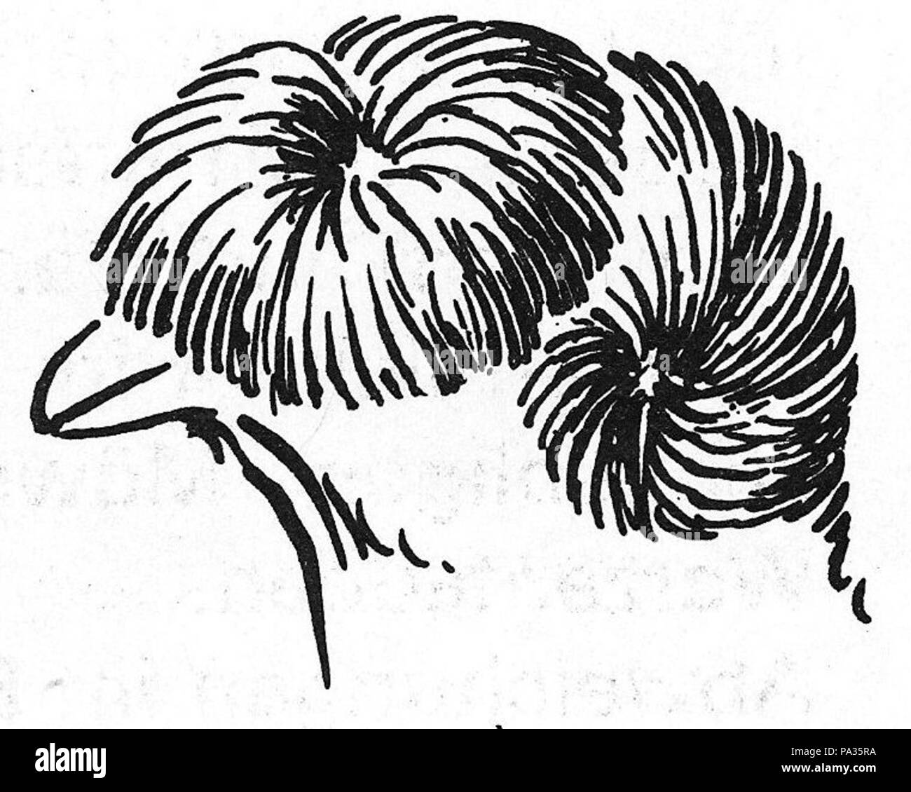 0010f hi-res stock photography and images - Alamy