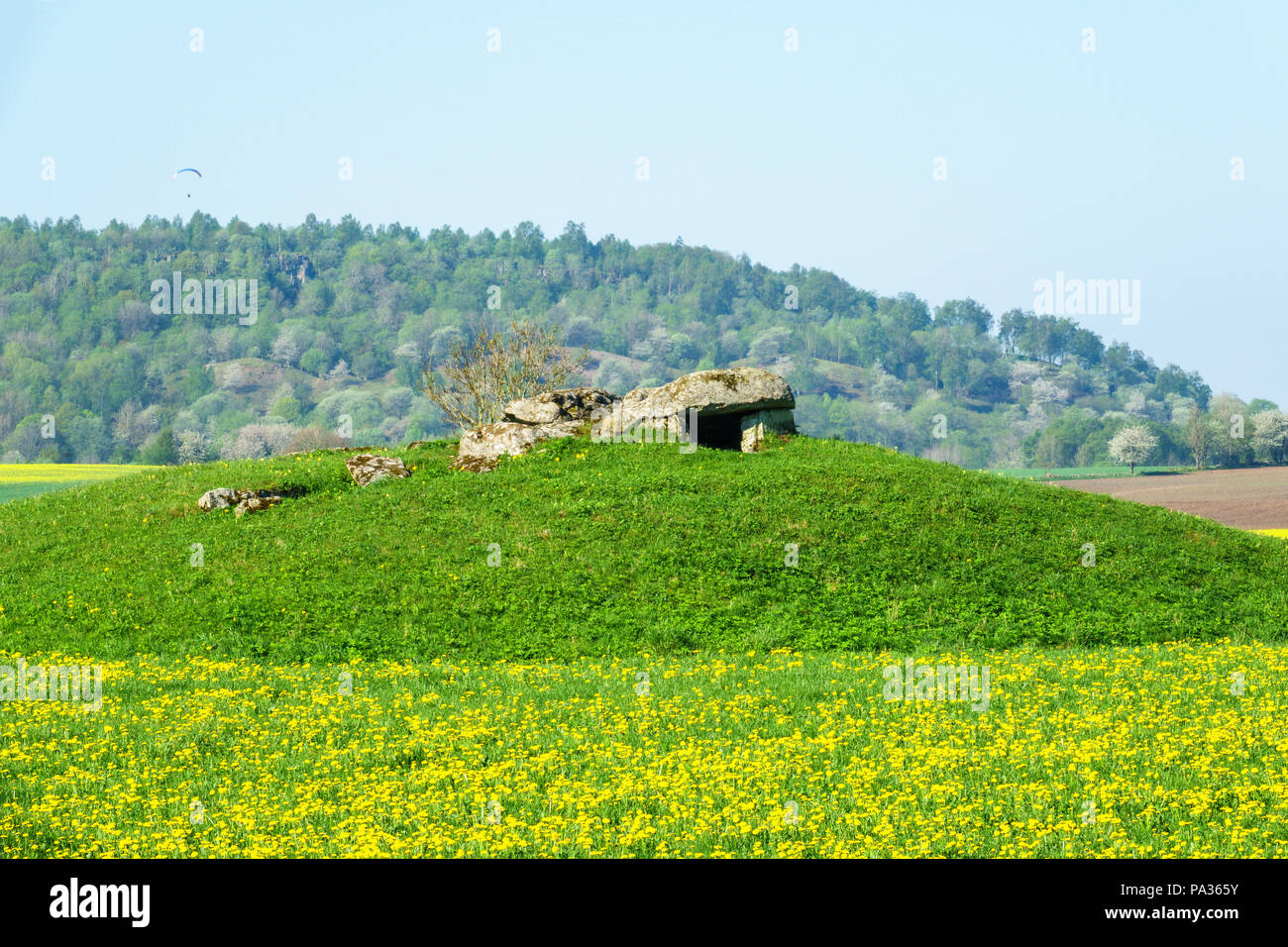 Megalith grave on a hill in the landscape Stock Photo - Alamy