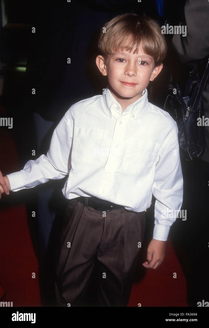 WESTWOOD, CA - MARCH 24: Actor Guy Witcher attends 'The Power of One ...