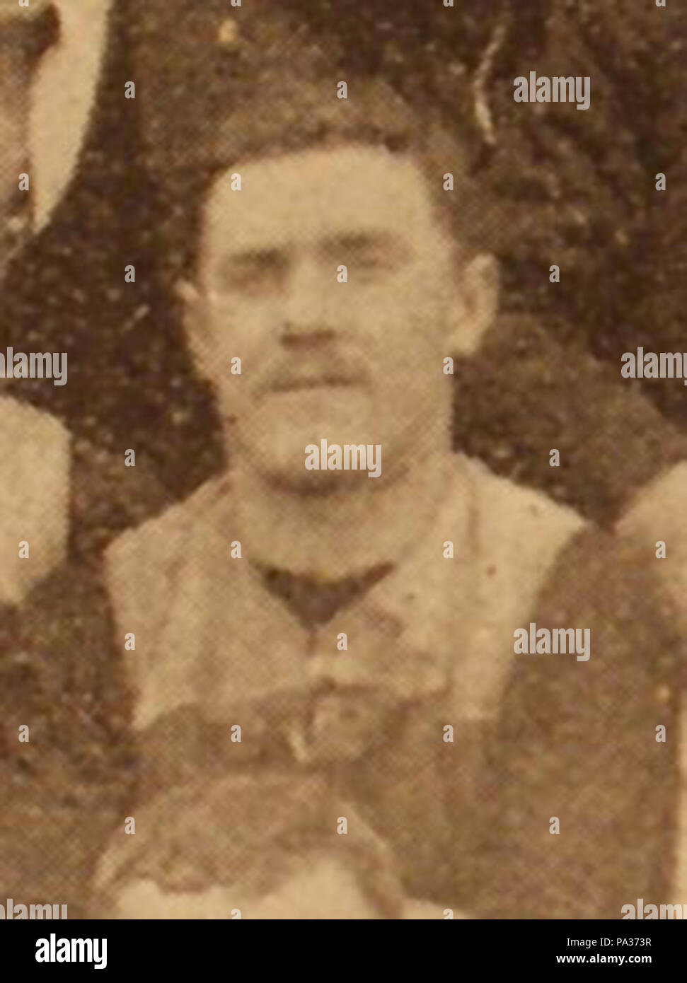 Bob bird hi-res stock photography and images - Alamy