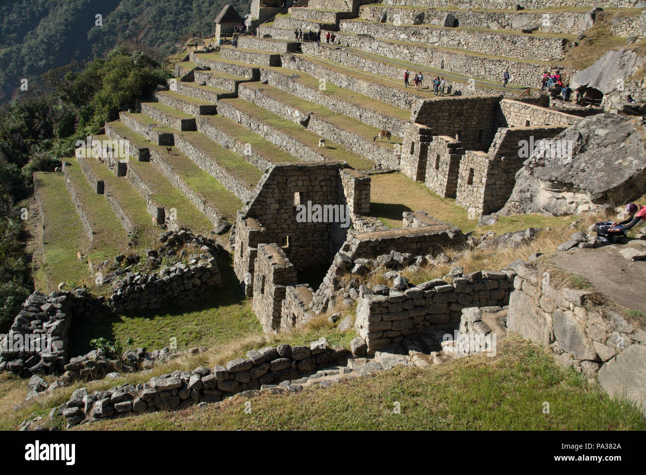 An exploration of Peruvian tourism and culture Stock Photo - Alamy