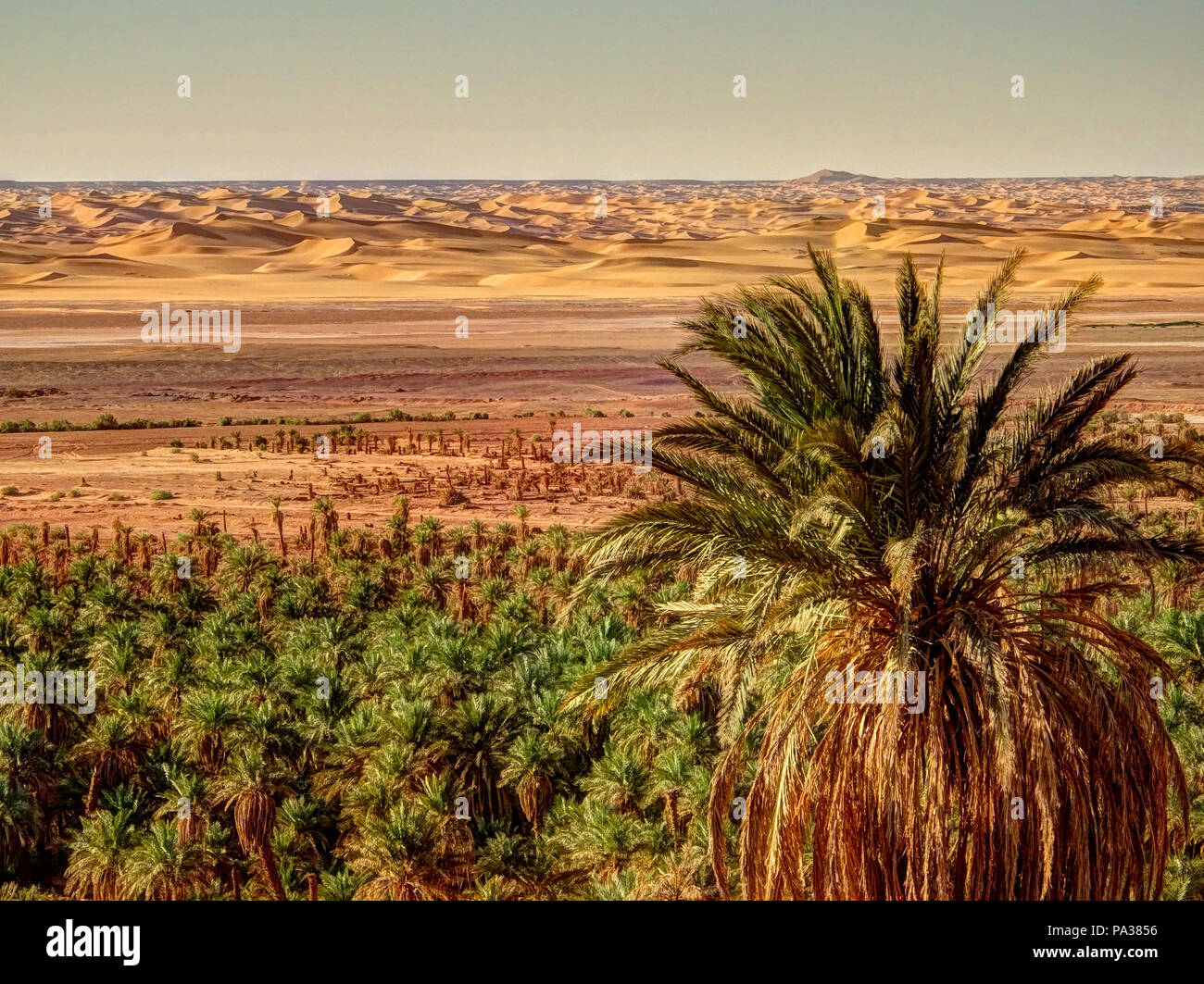 Timimoun town hi-res stock photography and images - Alamy