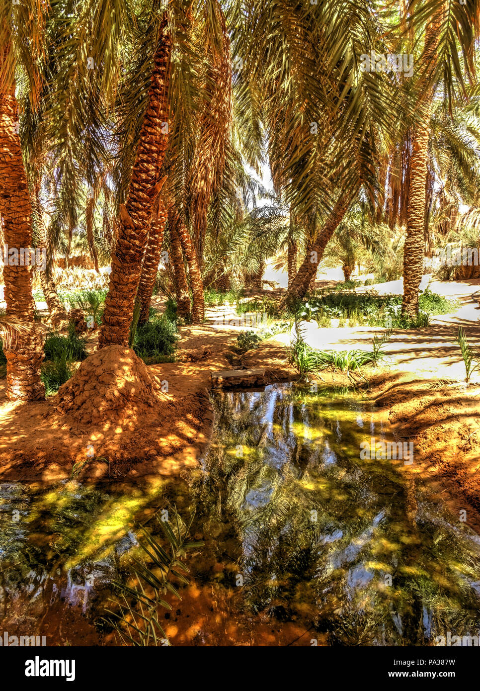 Timimoun, Algerian Sahara Stock Photo - Alamy