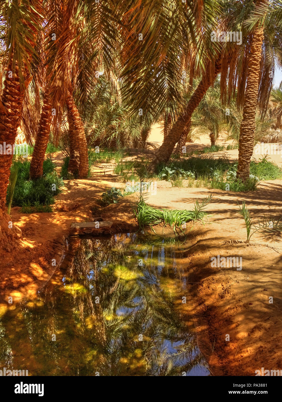 Timimoun hi-res stock photography and images - Alamy