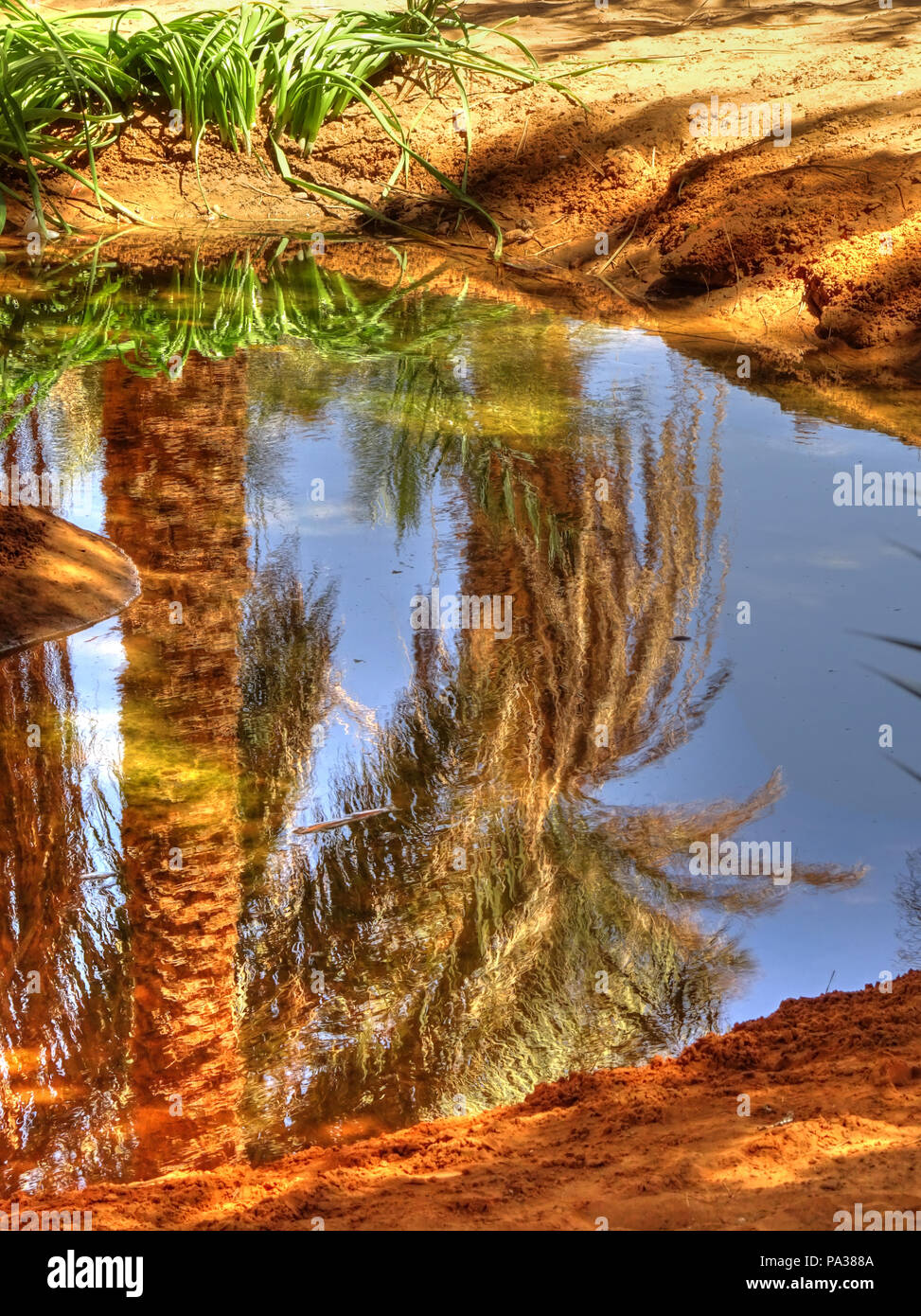 Timimoun, Algerian Sahara Stock Photo - Alamy
