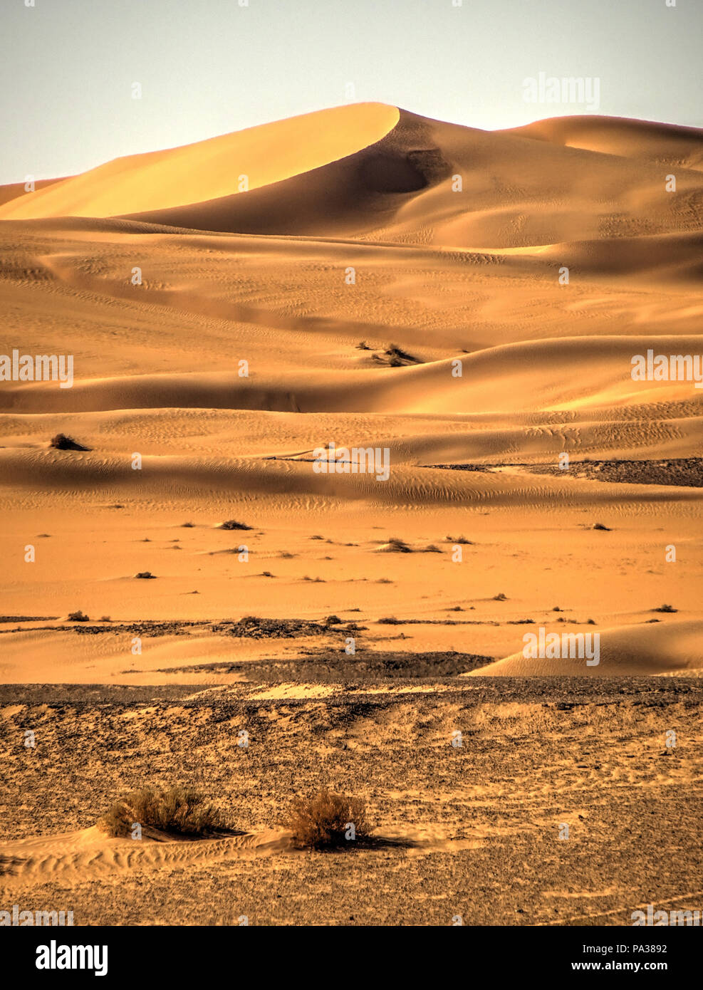 Timimoun, Algerian Sahara Stock Photo - Alamy