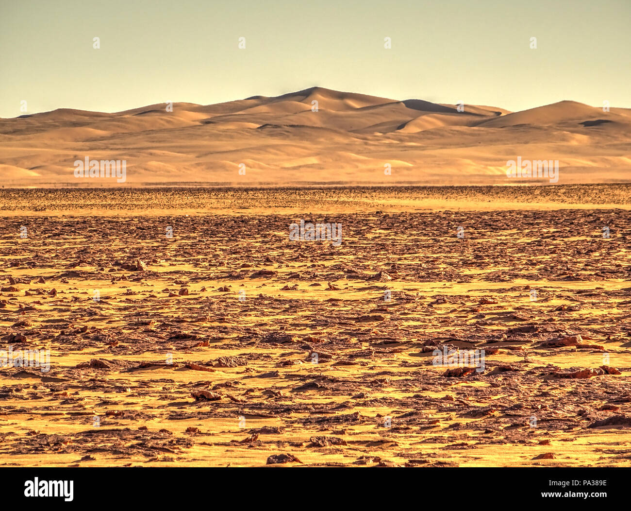 Timimoun, Algerian Sahara Stock Photo - Alamy