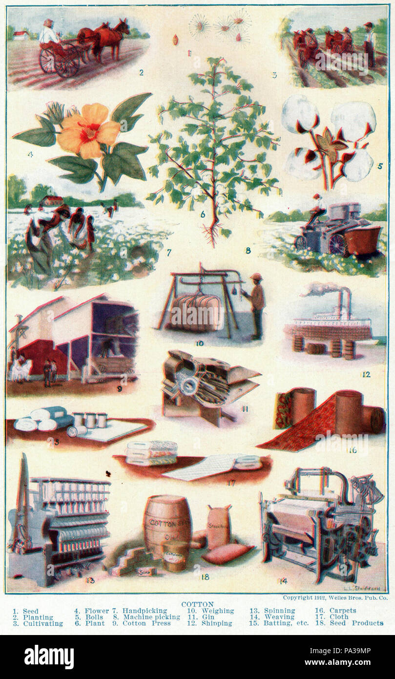 Cotton production history hi-res stock photography and images - Alamy
