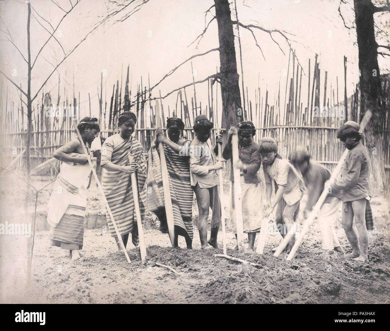 3 "Igorrotes Preparing the Soil for Planting." Igorrotes, Philippine ...
