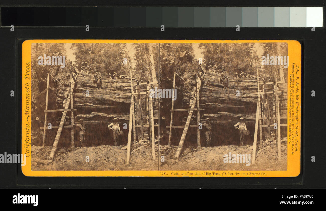 78 feet High Resolution Stock Photography and Images - Alamy