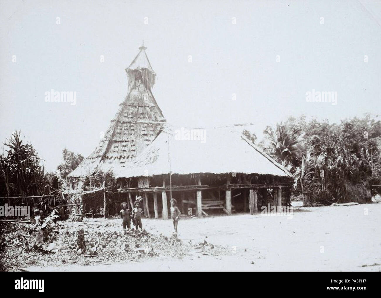 191 Papuans in front of the men's house - Collectie stichting Nationaal ...