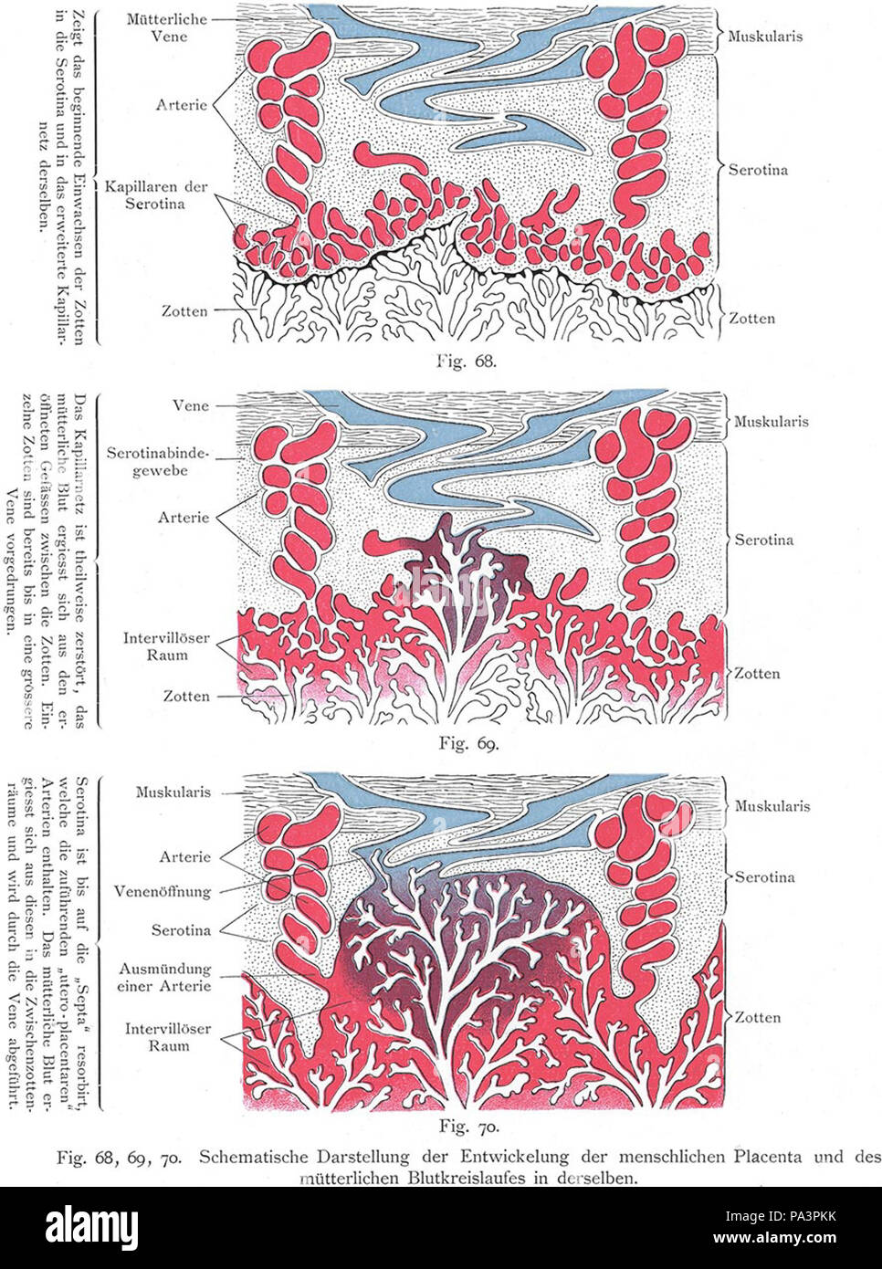 Bumm hi-res stock photography and images - Alamy