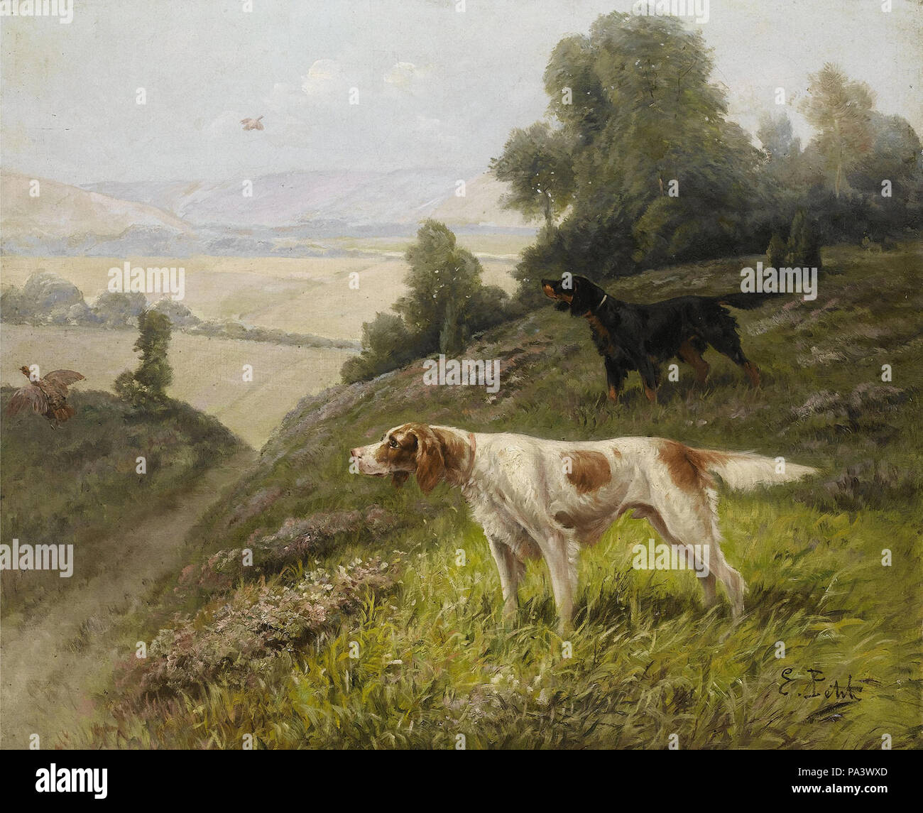 Petit Eugene - a Pointer and a Gordon Setter Flushing a Partridge Stock ...