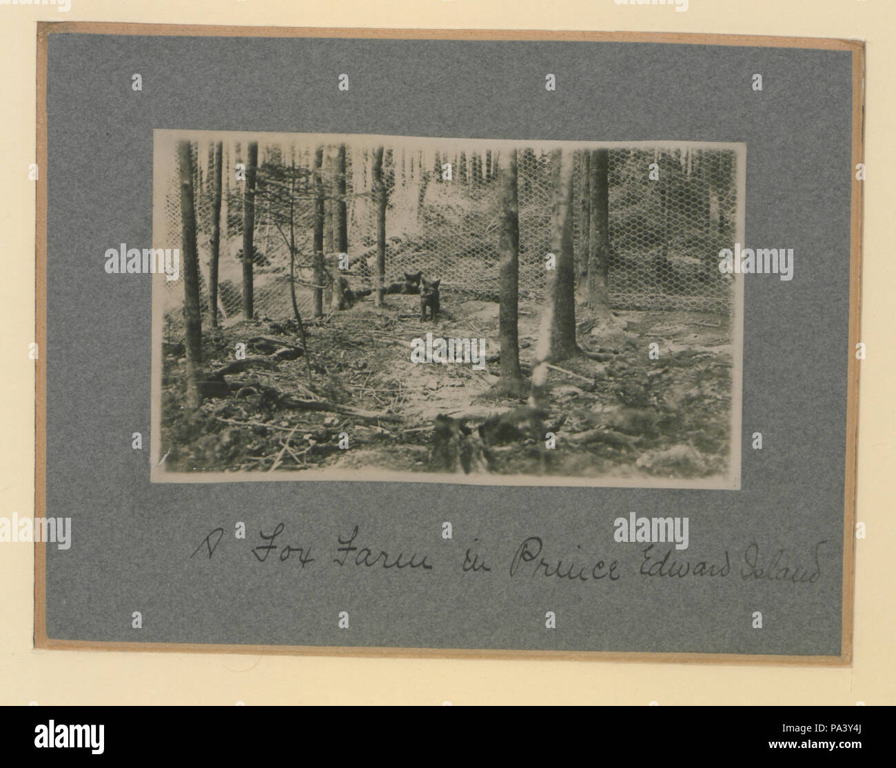 Canadian farm 1900s hi-res stock photography and images - Alamy