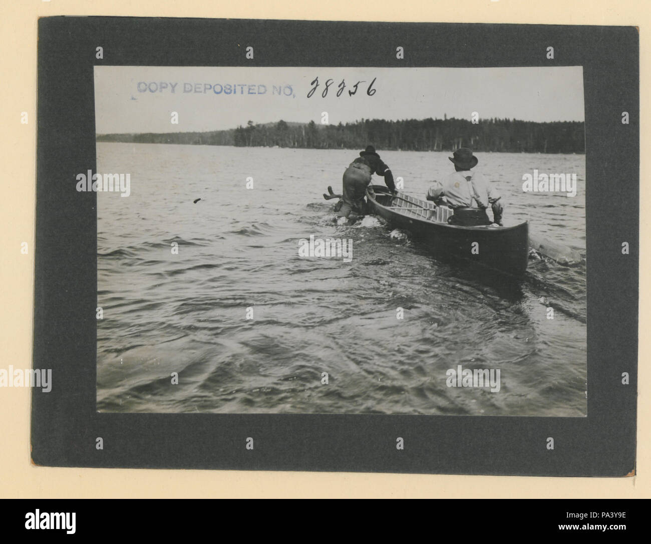 277 Canoe man stepping on back of bull moose (HS85-10-28256) original ...