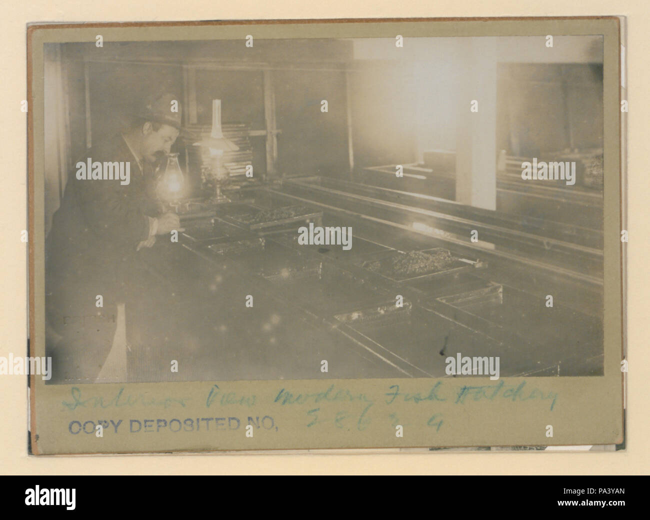 127 An interior view of a modern fish hatchery (HS85-10-28629) original ...