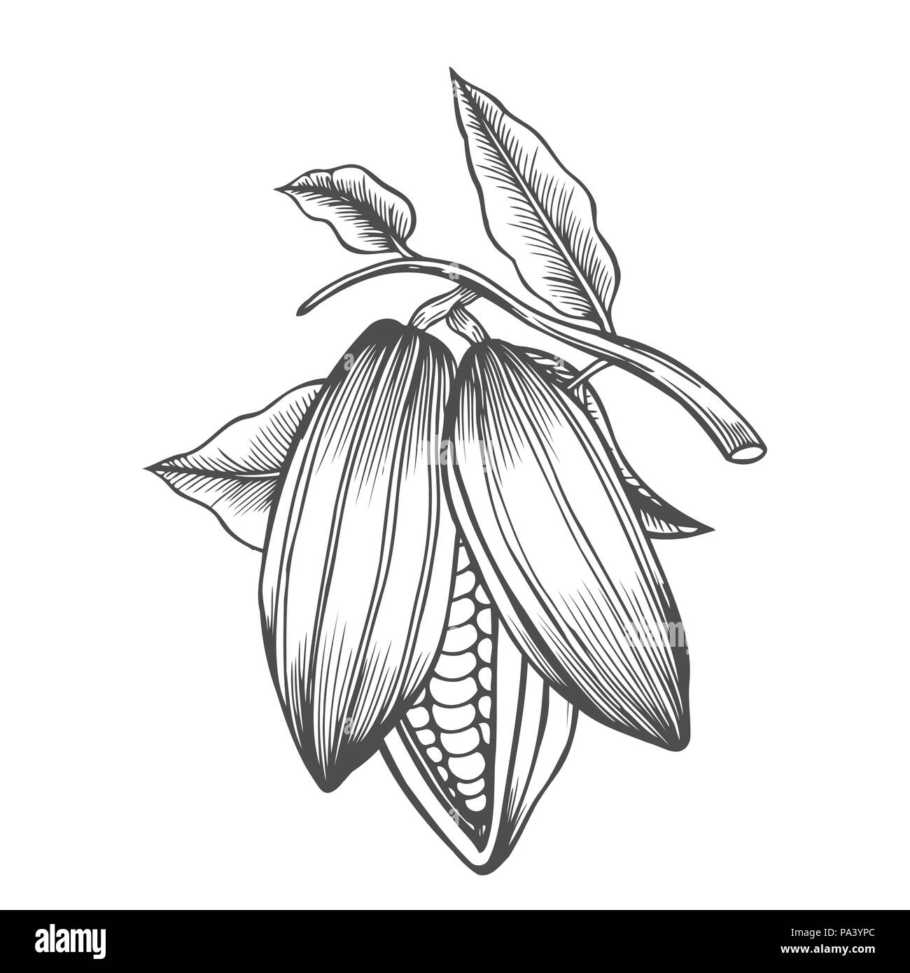 Invigorating atmosphere Stock Vector Images - Alamy