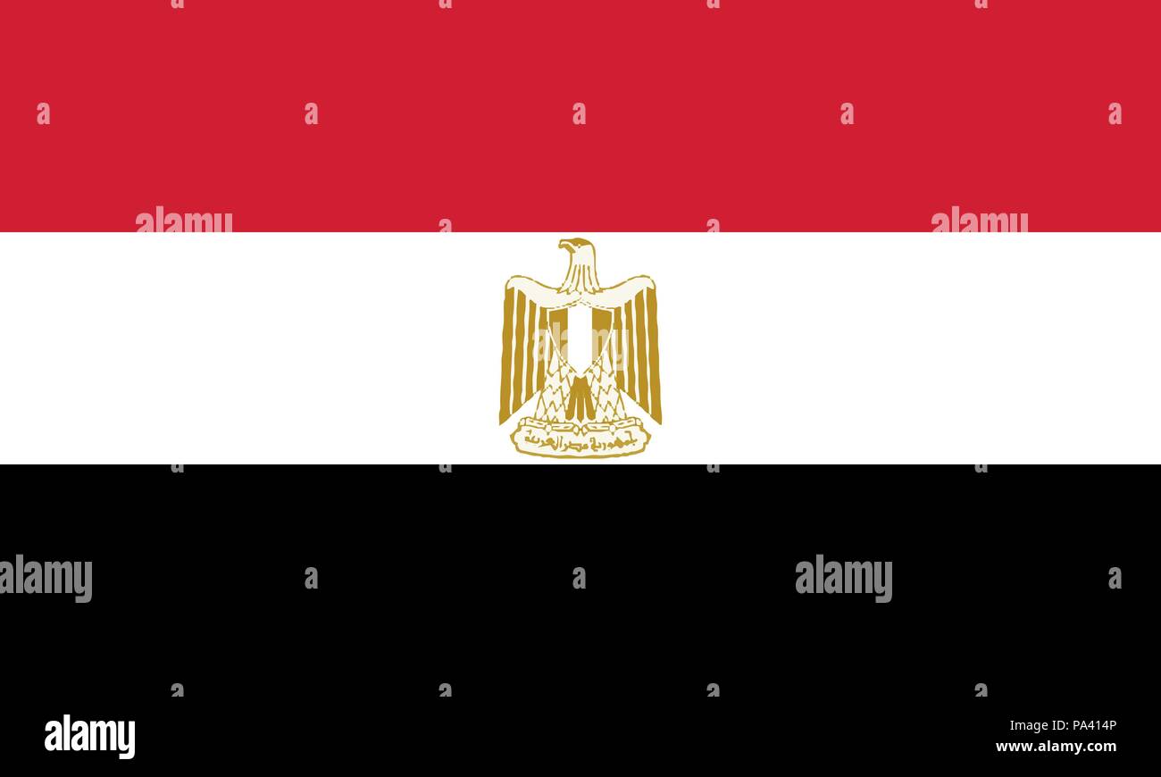 Detailed Illustration National Flag Egypt Stock Vector Image & Art - Alamy
