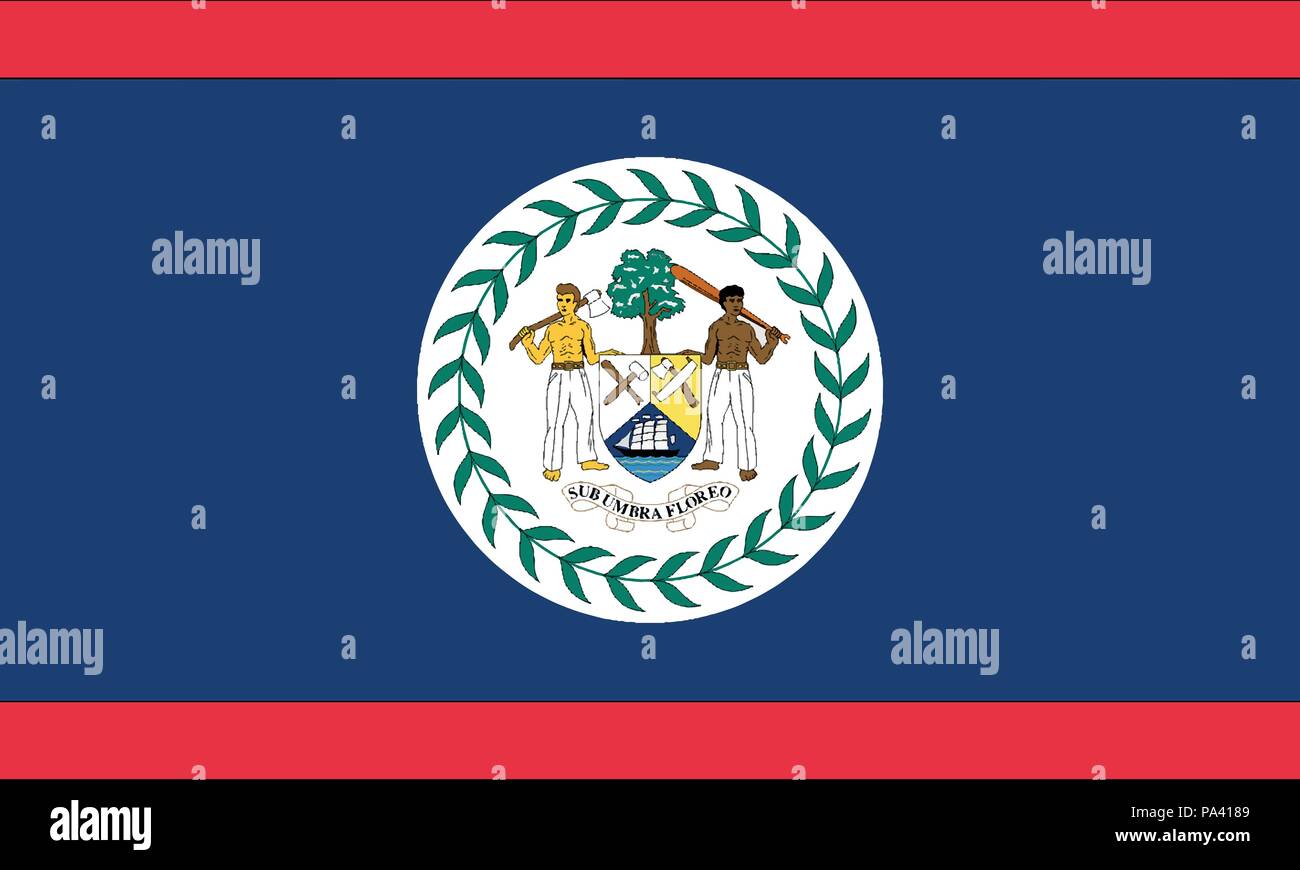 Detailed Illustration National Flag Belize Stock Vector Image & Art - Alamy