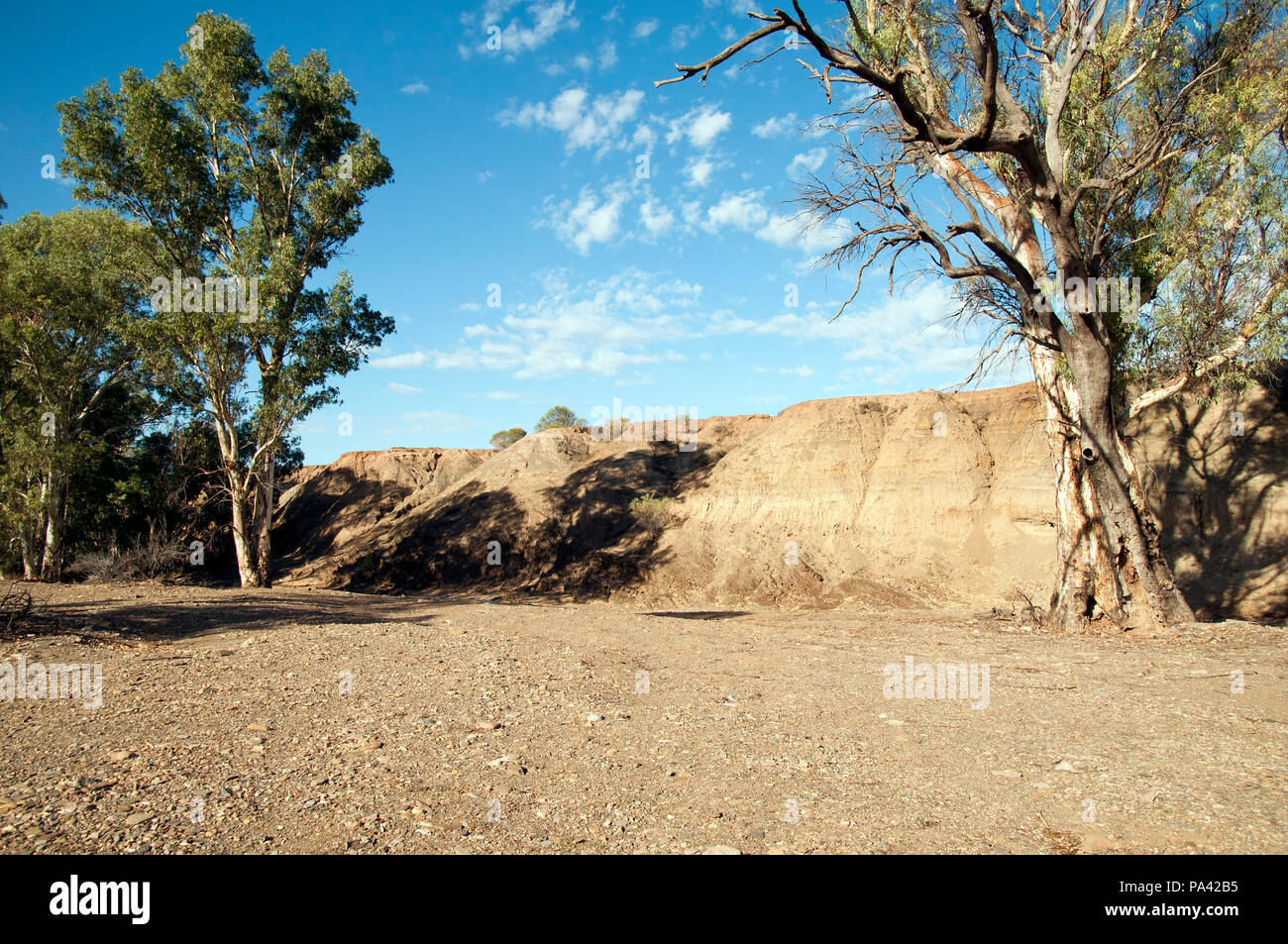 Brachina Gorge South Australia, exposed riverbank showing the layers of ...