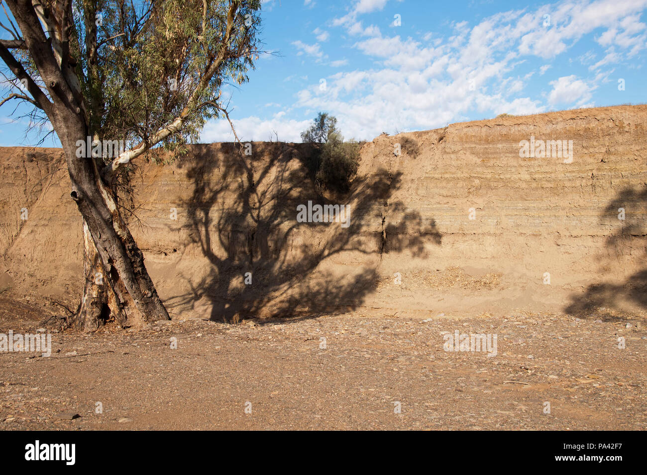 Brachina Gorge South Australia, exposed riverbank showing the layers of ...