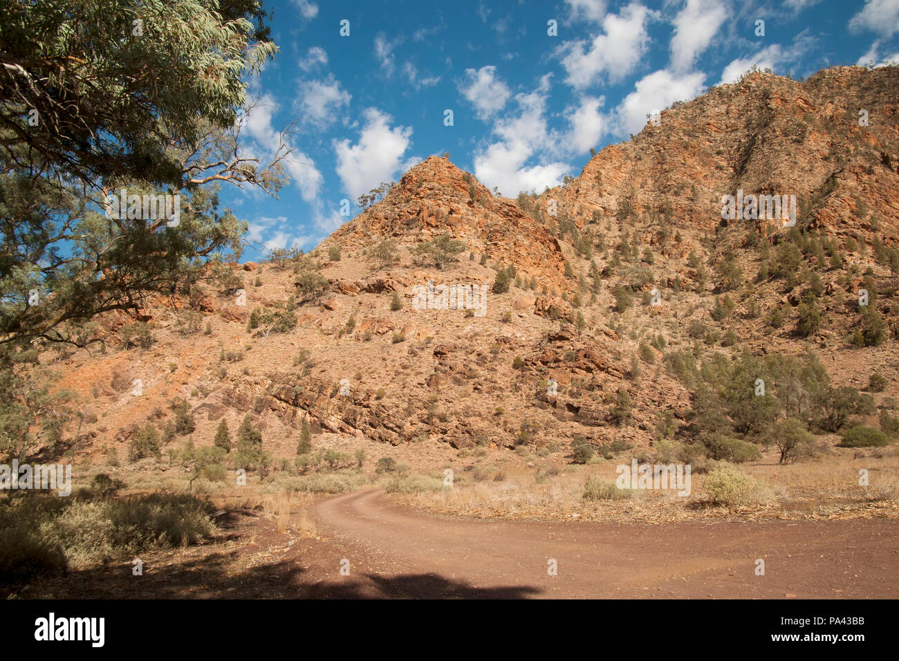 Brachina Gorge South Australia, dirt road along valley floor Stock ...