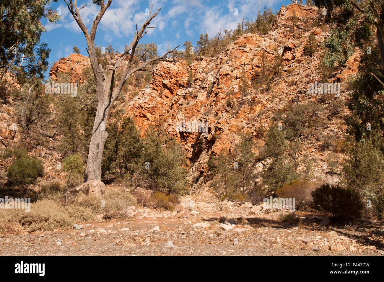 Brachina Gorge South Australia, dry riverbed with red hills of ...