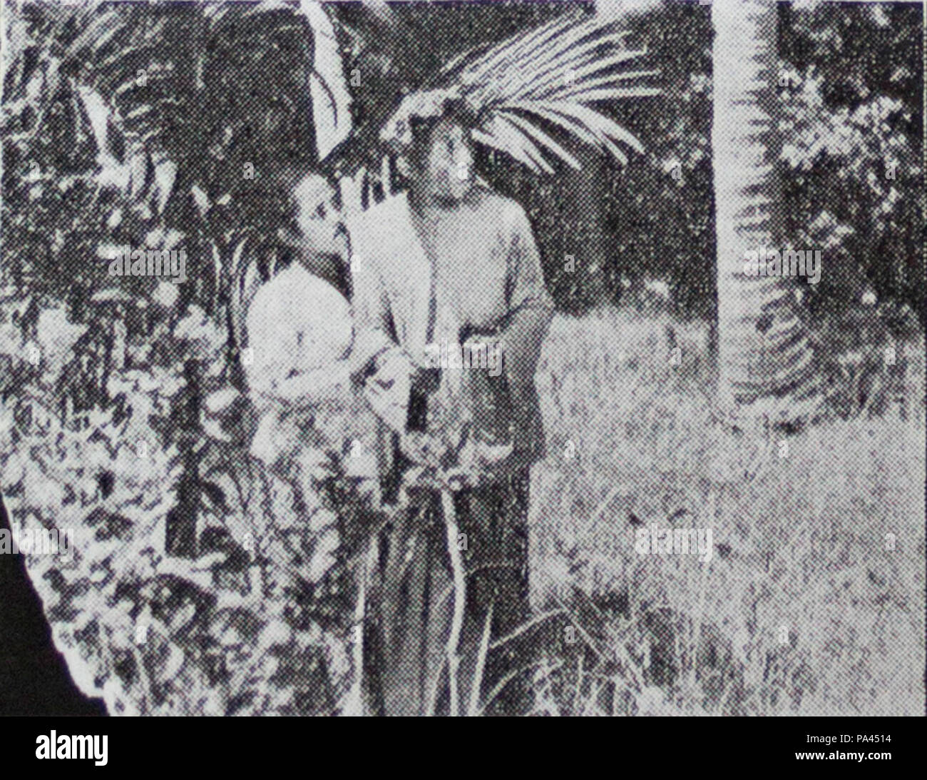 Gomar hi-res stock photography and images - Alamy