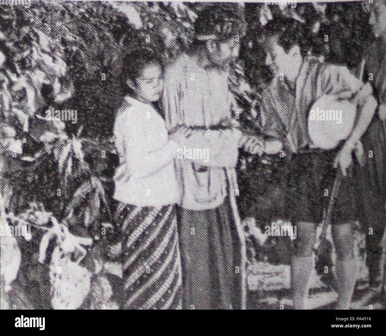 Gomar hi-res stock photography and images - Alamy