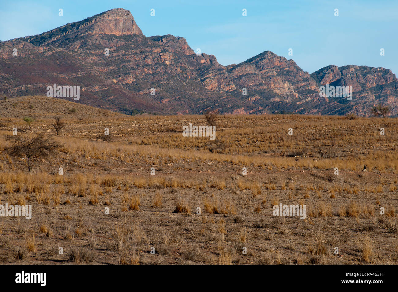 Australian Plains Background