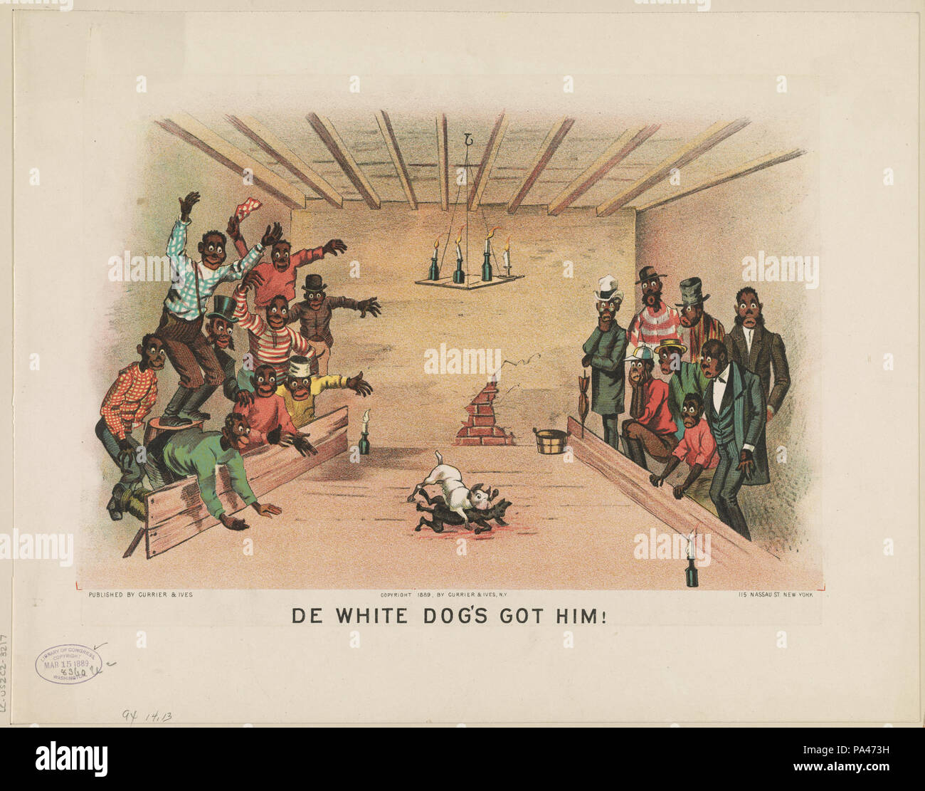 White dogs hi-res stock photography and images - Alamy