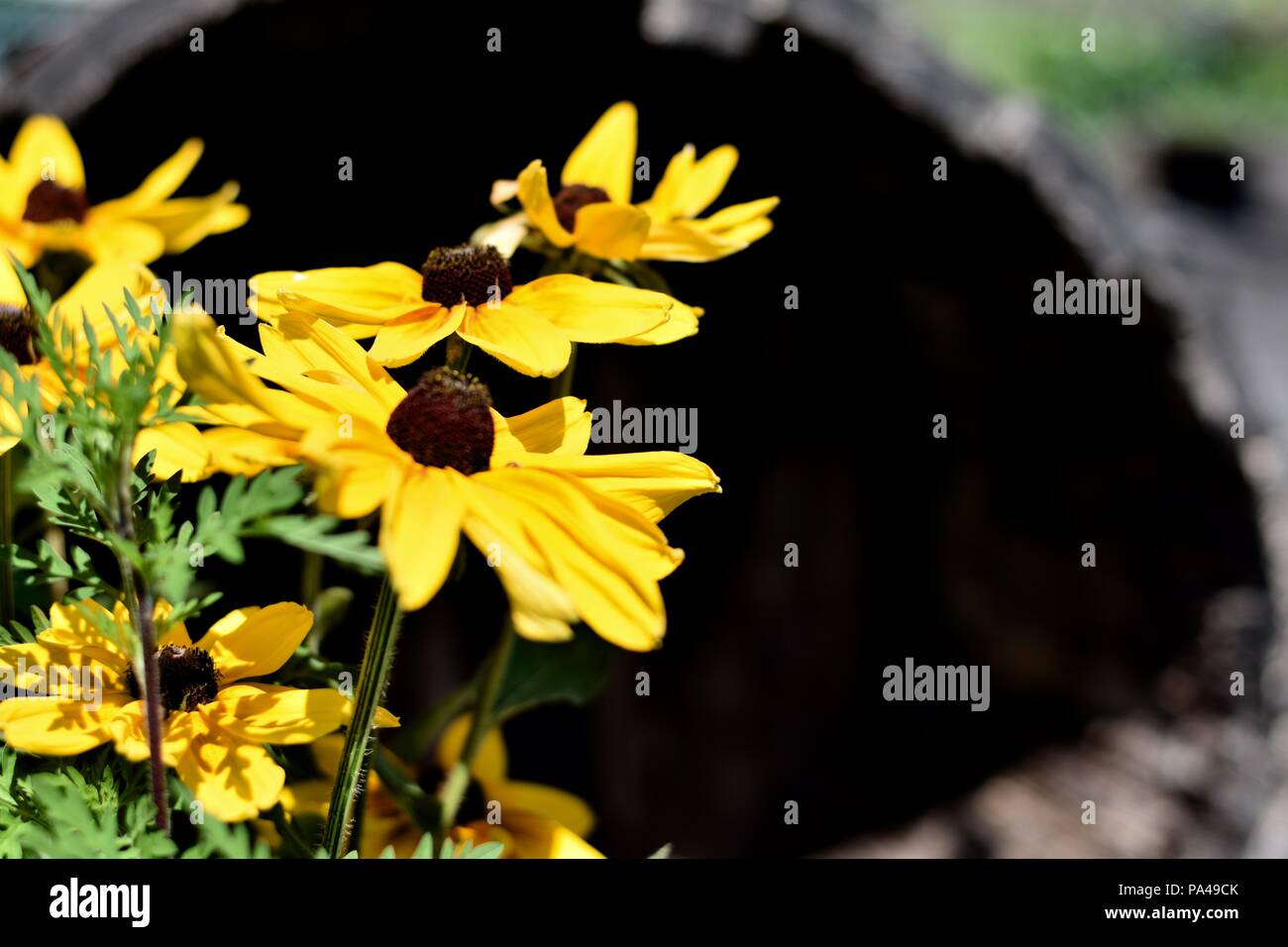 Day out on the farm hi-res stock photography and images - Alamy