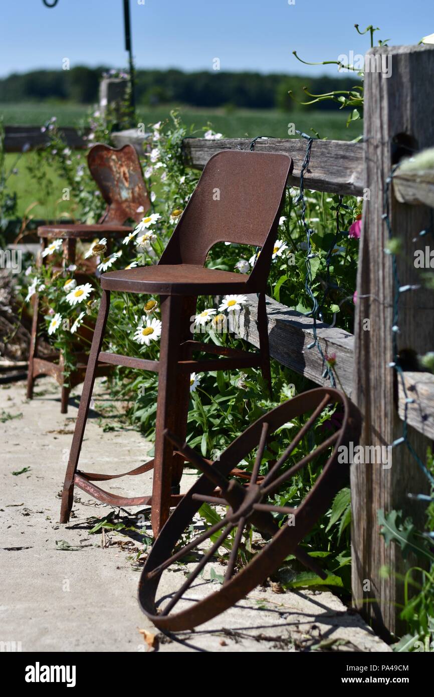 Day out on the farm hi-res stock photography and images - Alamy